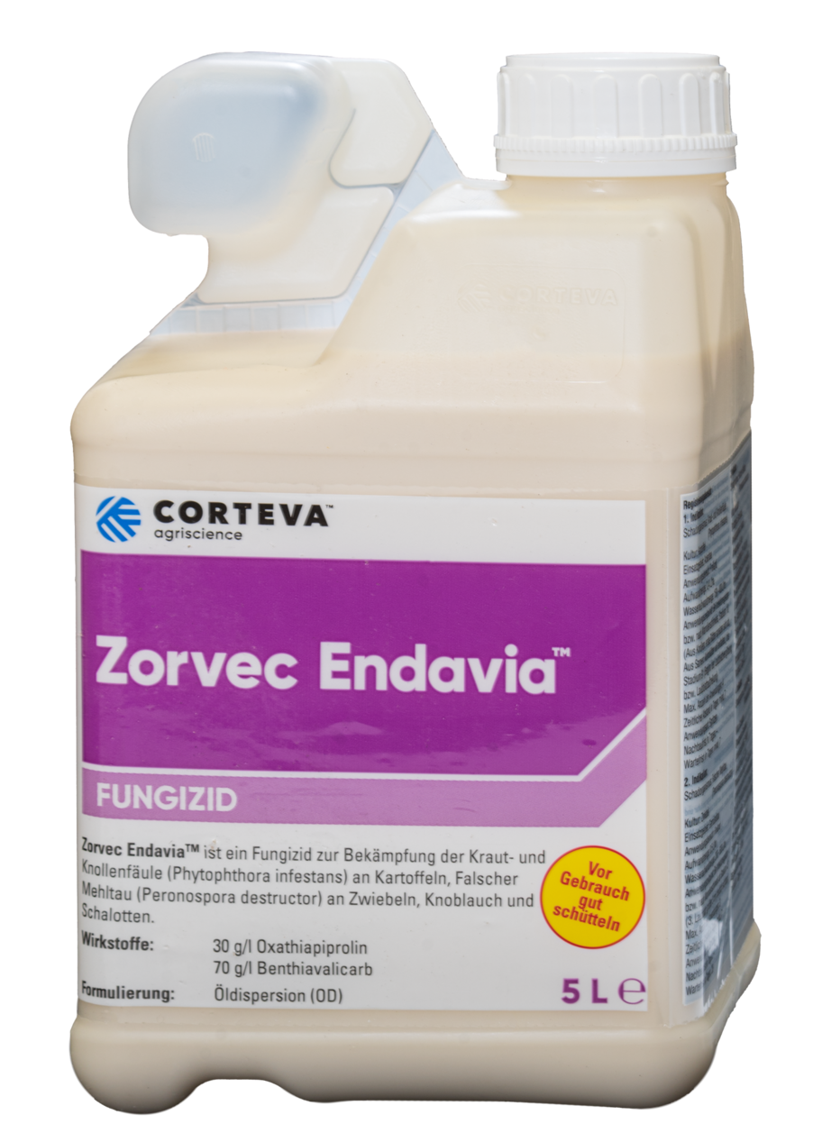 Vorbeugend vor Krankheiten schützen